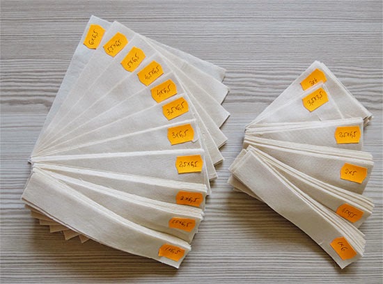 Two color quilt - Geta's Quilting Studio